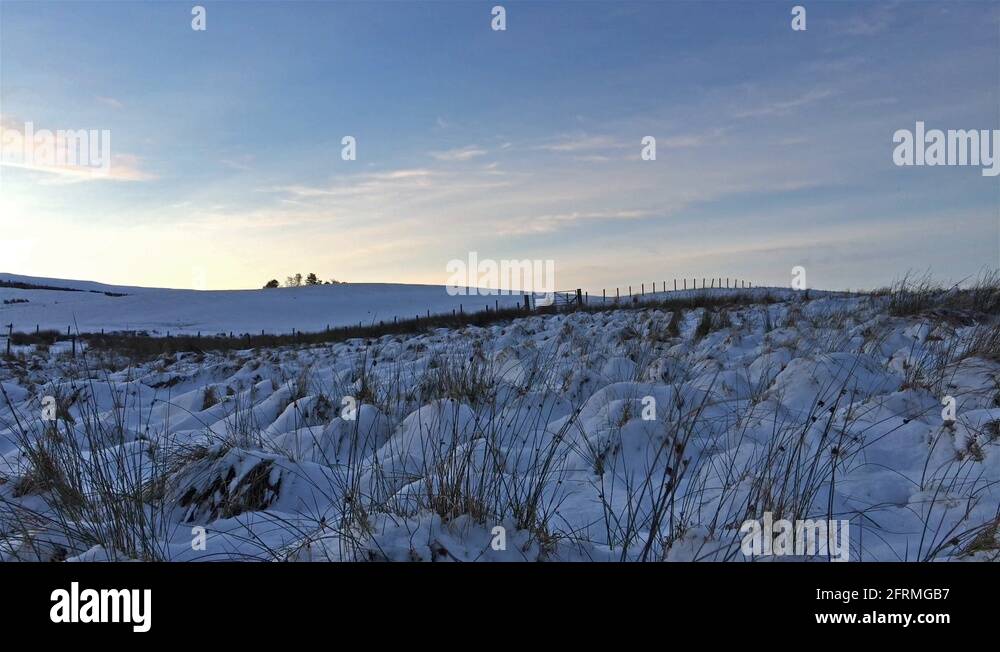Winter scene snow scotland Stock Videos & Footage - HD and 4K Video ...