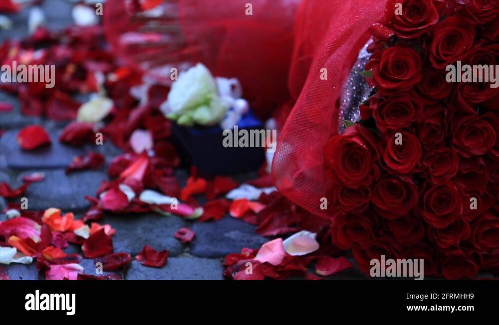 Ring a ring roses Stock Videos & Footage - HD and 4K Video Clips - Alamy