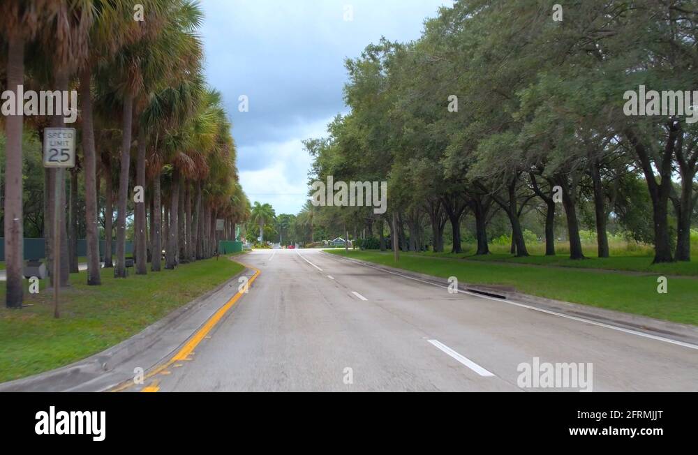 Sawgrass Stock Videos & Footage - HD and 4K Video Clips - Alamy
