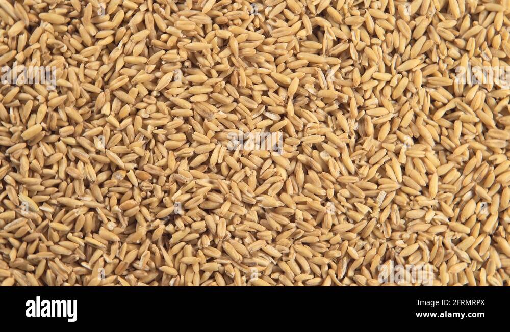 Oat grains Stock Videos & Footage - HD and 4K Video Clips - Alamy