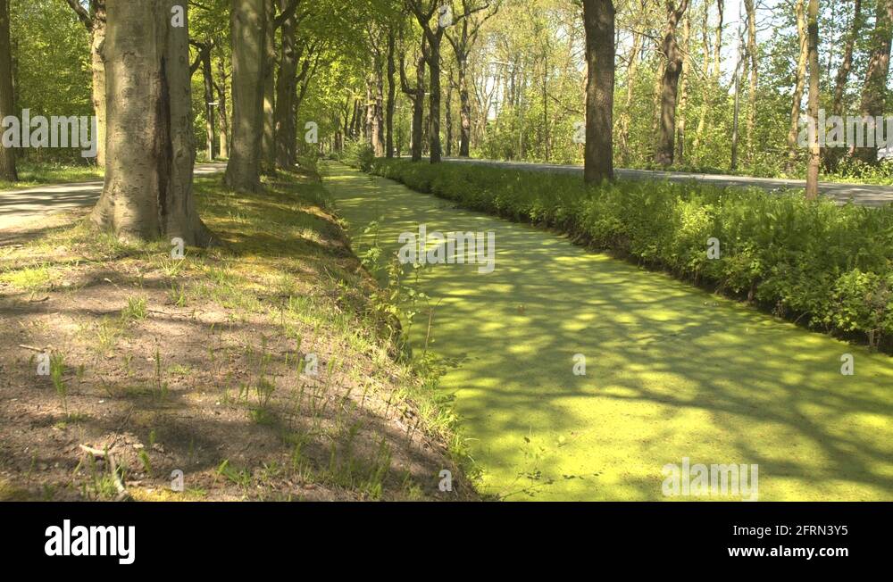 Weeds growing on road Stock Videos & Footage - HD and 4K Video Clips ...