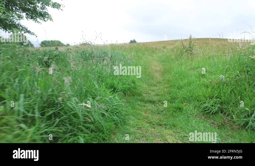 Field with path Stock Videos & Footage - HD and 4K Video Clips - Alamy