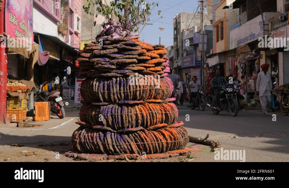 Holi cow india Stock Videos & Footage - HD and 4K Video Clips - Alamy