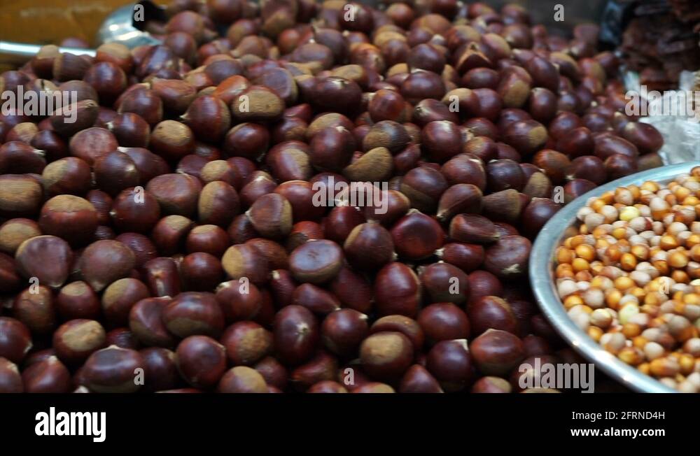 Chestnut pine Stock Videos & Footage - HD and 4K Video Clips - Alamy