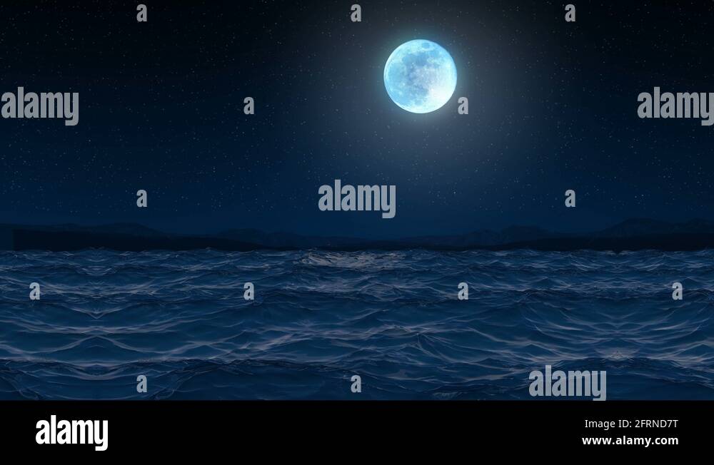 Starfish or sea stars on the beach Stock Videos & Footage - HD and 4K ...