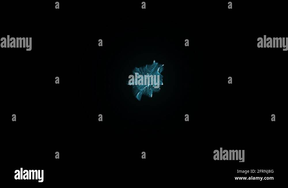 Ocean expansion Stock Videos & Footage - HD and 4K Video Clips - Alamy