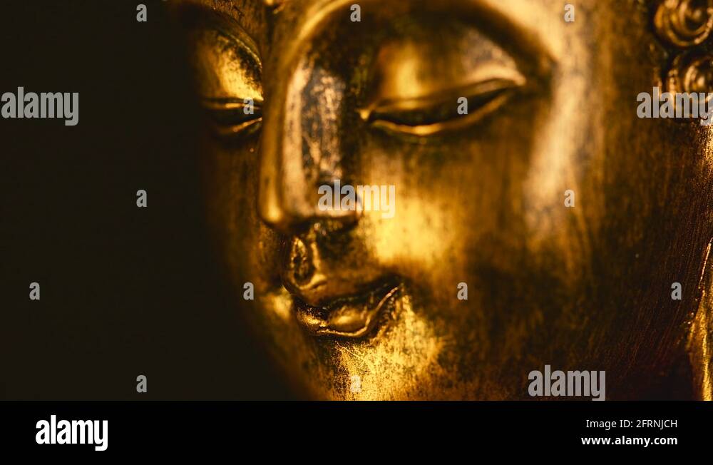 Rotating face Stock Videos & Footage - HD and 4K Video Clips - Alamy