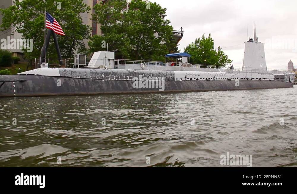 Requin Stock Videos & Footage - HD and 4K Video Clips - Alamy