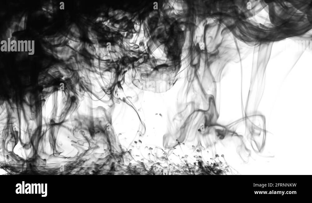 Black Ink Explosion On White Background Stock Video Footage - Alamy