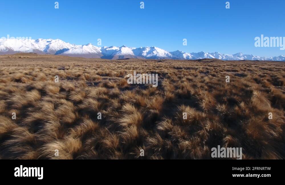 Alpine grasslands Stock Videos & Footage - HD and 4K Video Clips - Alamy