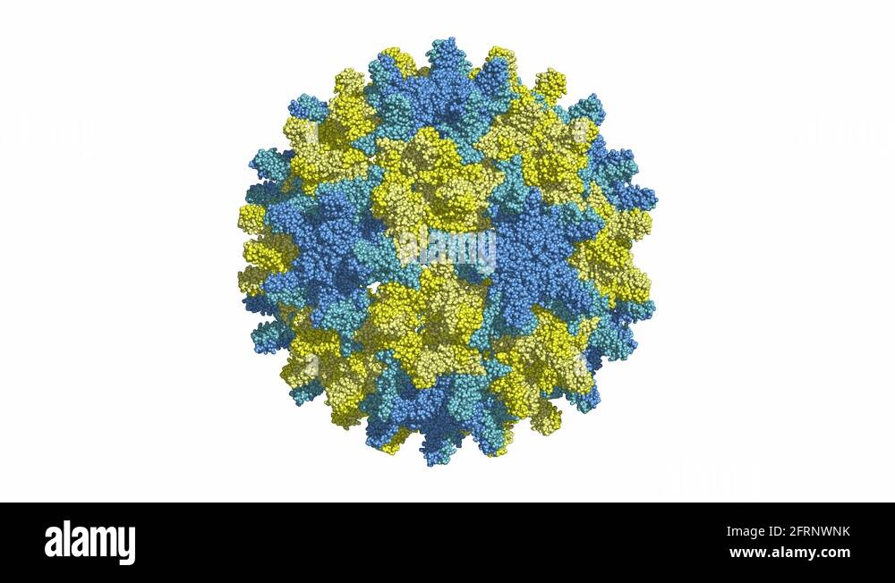 Viral pathology Stock Videos & Footage - HD and 4K Video Clips - Alamy