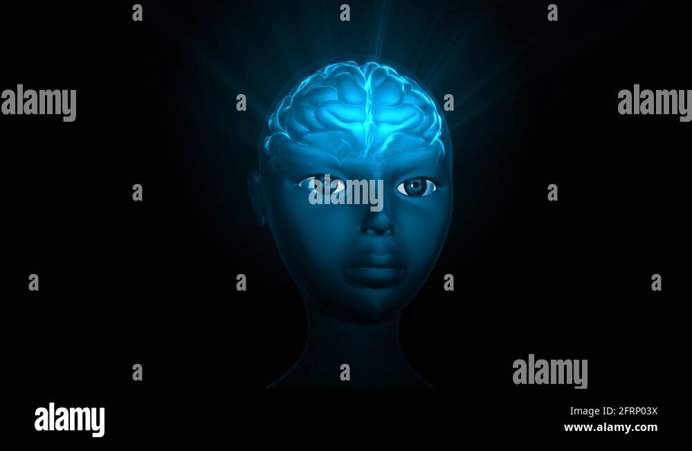 Cg rotating human brain scan animation Stock Video Footage - Alamy