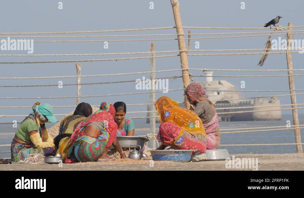 Fish building india Stock Videos & Footage - HD and 4K Video Clips - Alamy