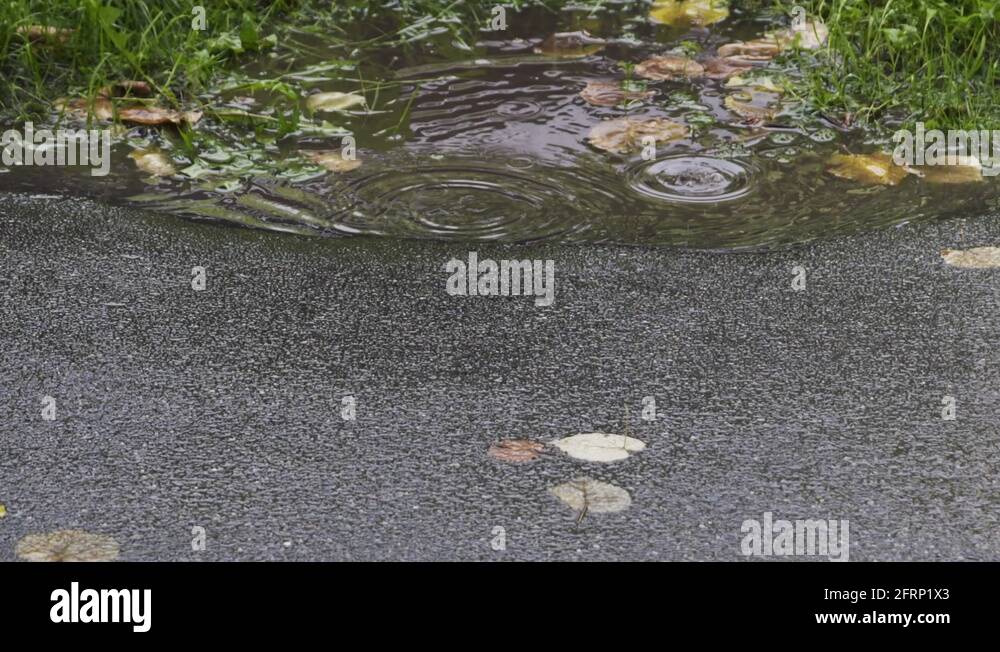 Weather rain wet pathway Stock Videos & Footage - HD and 4K Video Clips ...