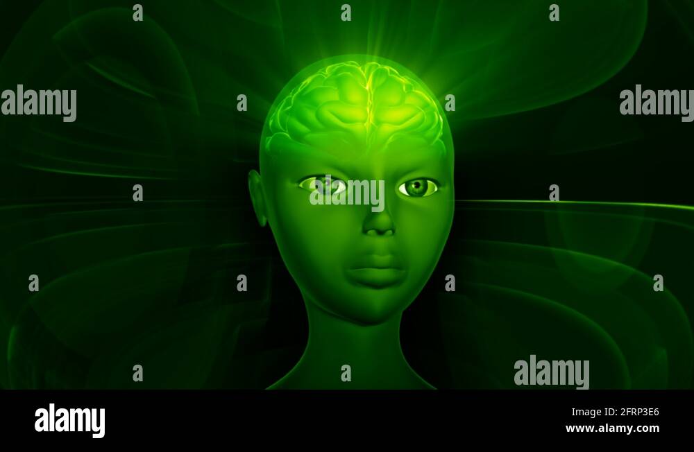 Human brain scan Stock Videos & Footage - HD and 4K Video Clips - Alamy