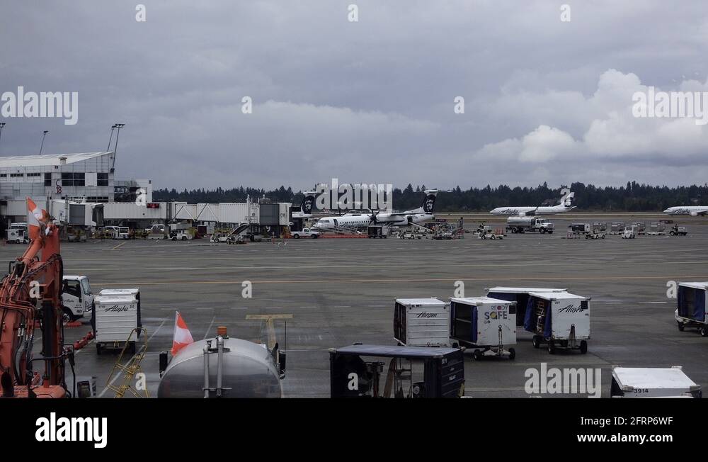 Sea tac airport terminal Stock Videos & Footage - HD and 4K Video Clips ...