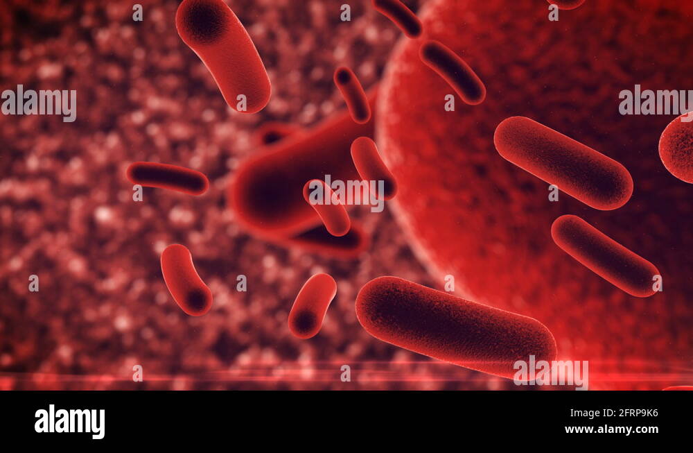 Bacteria microscope salmonella Stock Videos & Footage - HD and 4K Video ...