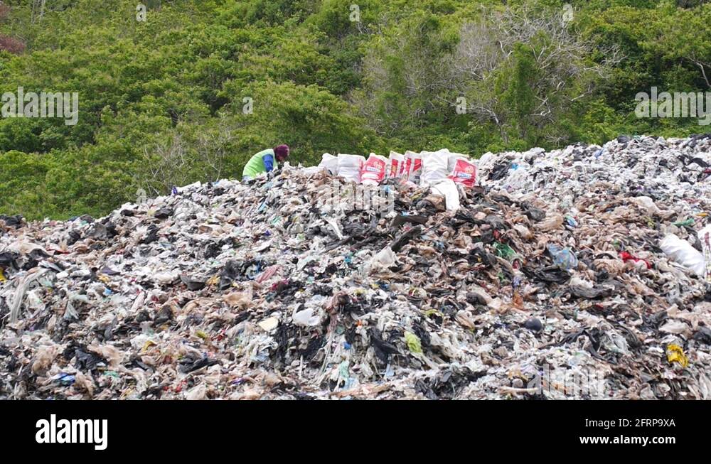 Scavenger man Stock Videos & Footage - HD and 4K Video Clips - Alamy