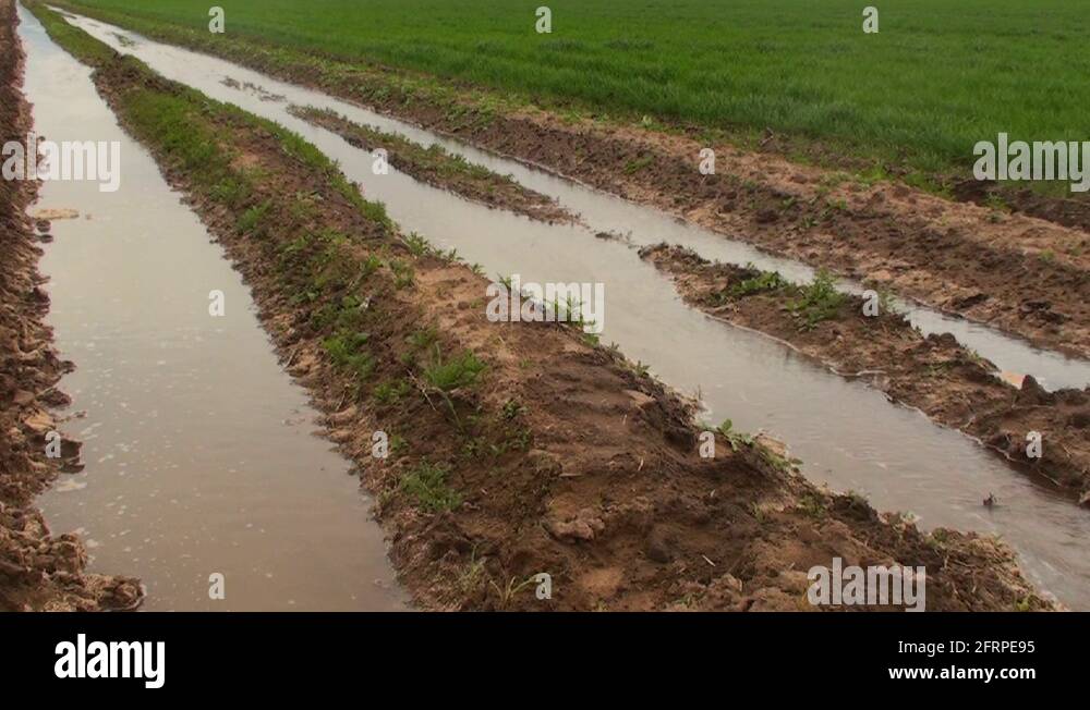 Field ditch Stock Videos & Footage - HD and 4K Video Clips - Alamy