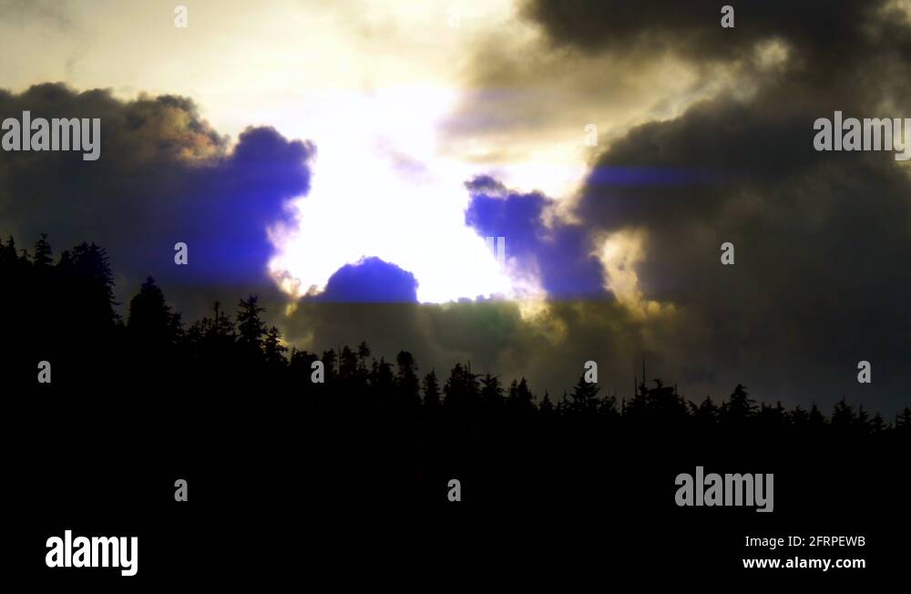 Forest skyline silhouette Stock Videos & Footage - HD and 4K Video ...