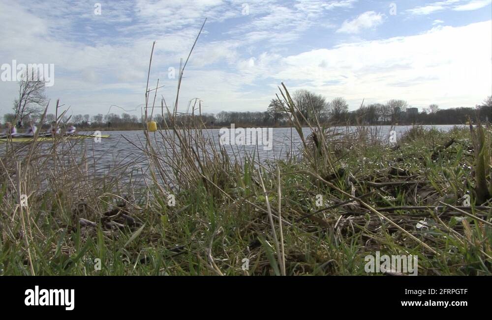 Rowing eight boat Stock Videos & Footage - HD and 4K Video Clips - Alamy
