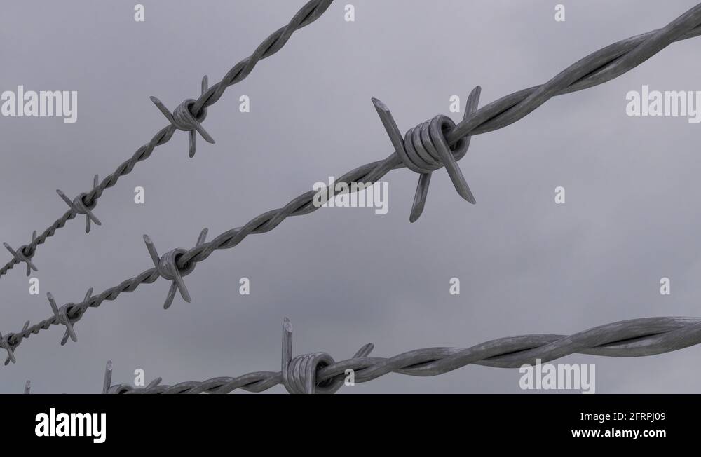 Barbed wire barbwire barbed Stock Videos & Footage - HD and 4K Video ...