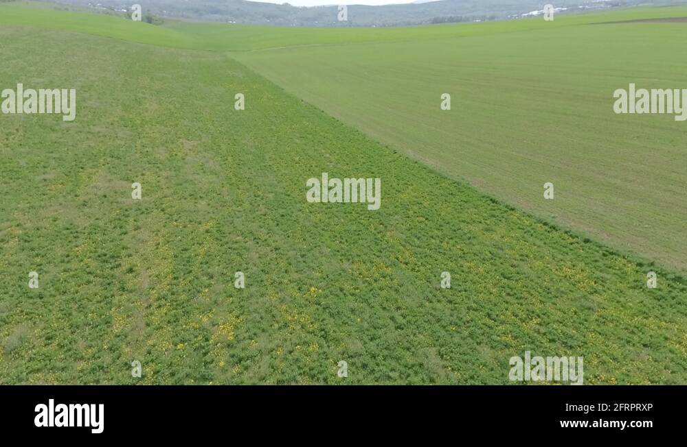 Drone video of green field Stock Videos & Footage - HD and 4K Video ...