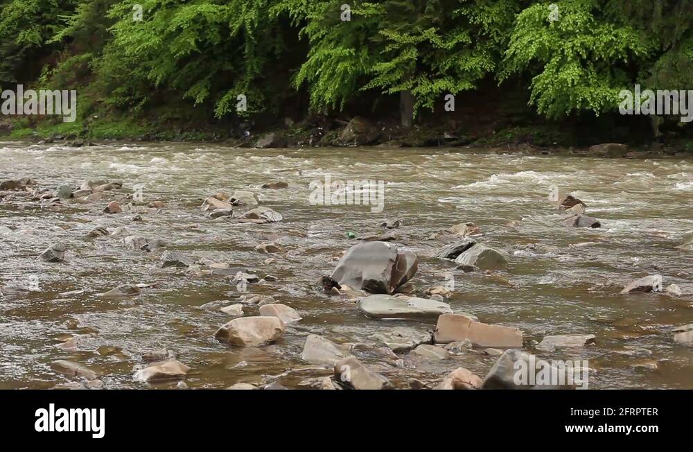 River scenery Stock Videos & Footage - HD and 4K Video Clips - Alamy