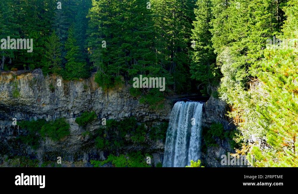 Waterfall in evergreen forest Stock Videos & Footage - HD and 4K Video ...