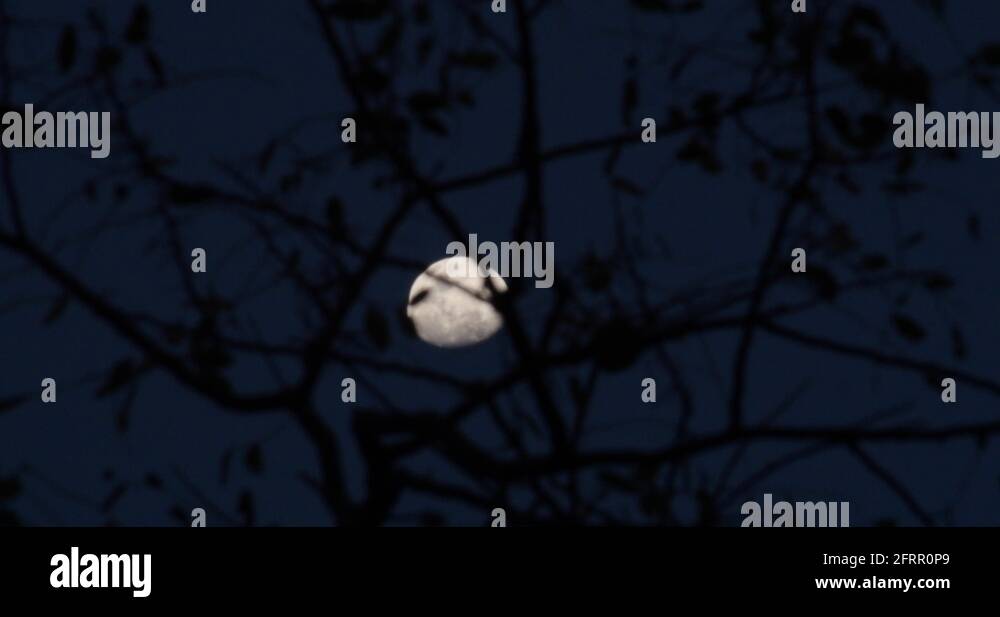 Relief cut out Stock Videos & Footage - HD and 4K Video Clips - Alamy