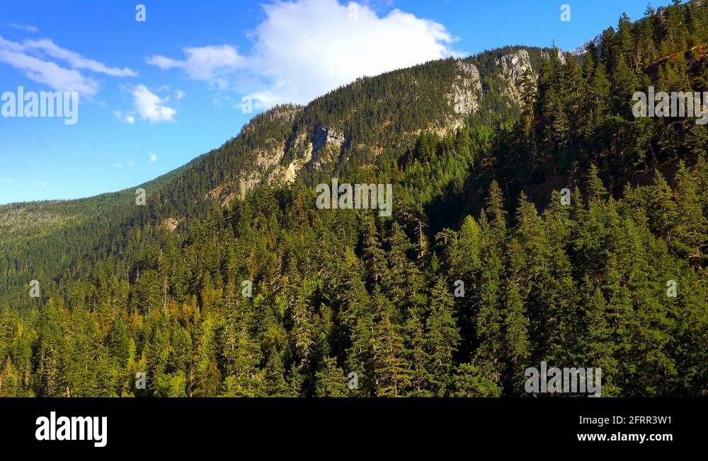 Trees woods forest clouds sky peak top Stock Videos & Footage - HD and ...