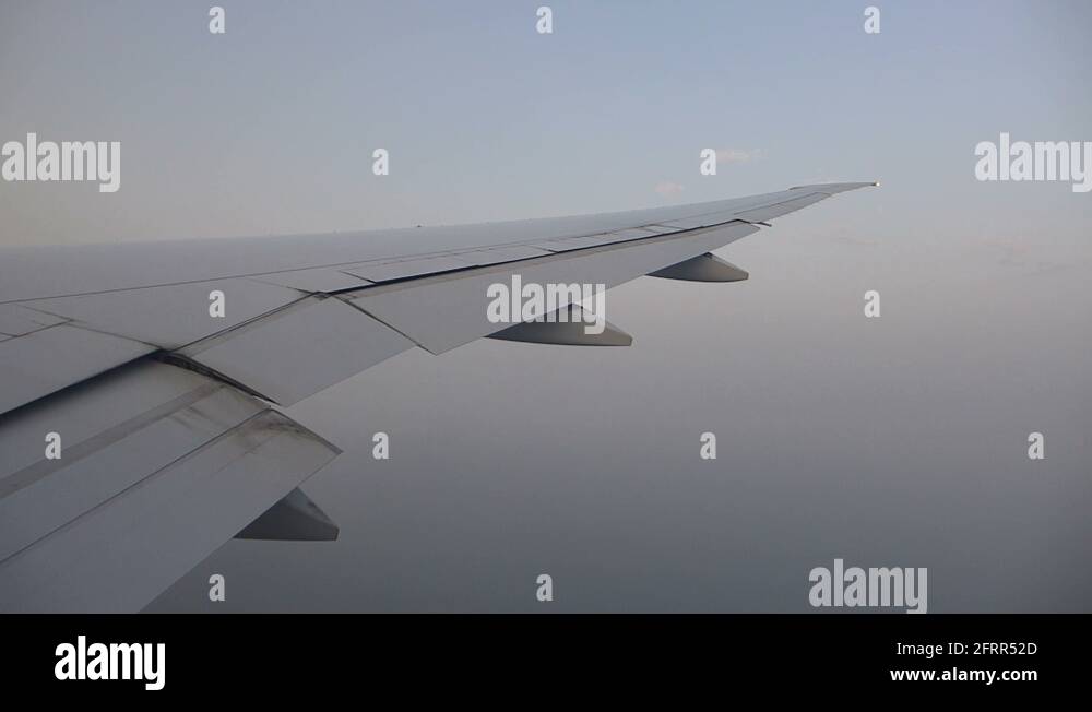 Right wing Stock Videos & Footage - HD and 4K Video Clips - Alamy