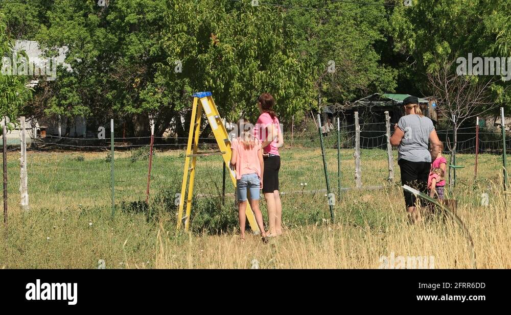 Ladder family Stock Videos & Footage - HD and 4K Video Clips - Alamy