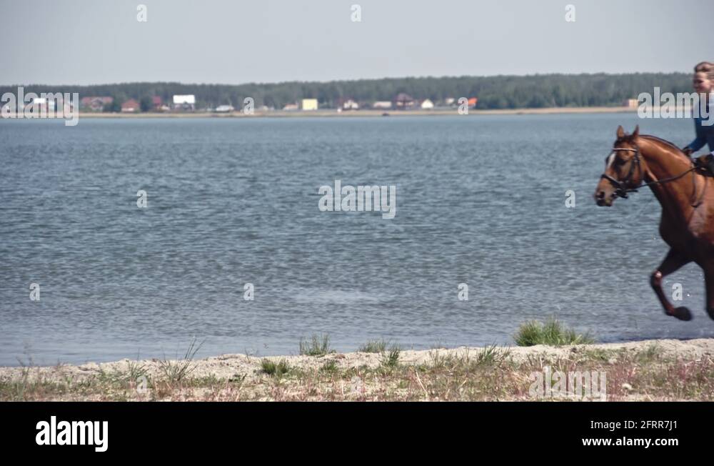 Water horse riding Stock Videos & Footage - HD and 4K Video Clips - Alamy