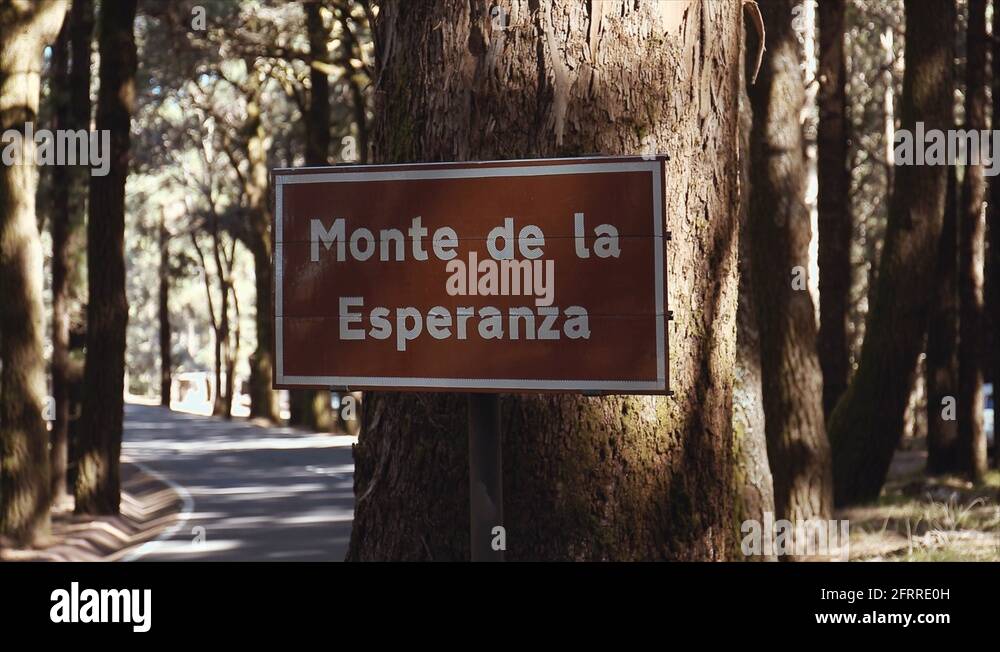 La monte Stock Videos & Footage - HD and 4K Video Clips - Alamy