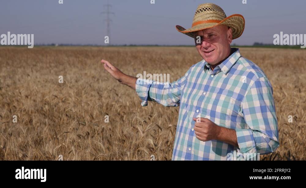 Farmer Talk in TV Interview About Wheat Crop and Success in Agriculture ...