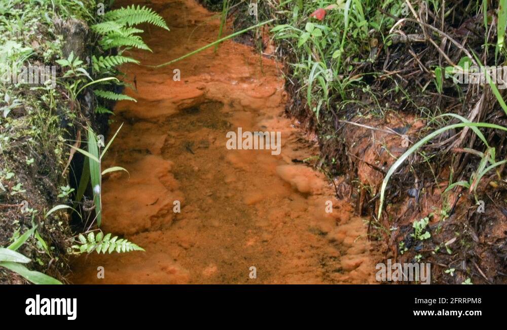 Iron oxidizing bacteria Stock Videos & Footage - HD and 4K Video Clips ... Iron oxidizing bacteria Stock Videos & Footage - HD and 4K Video Clips ...
