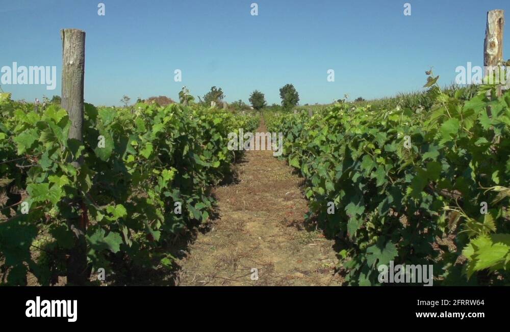Loire valley countryside Stock Videos & Footage - HD and 4K Video Clips ...