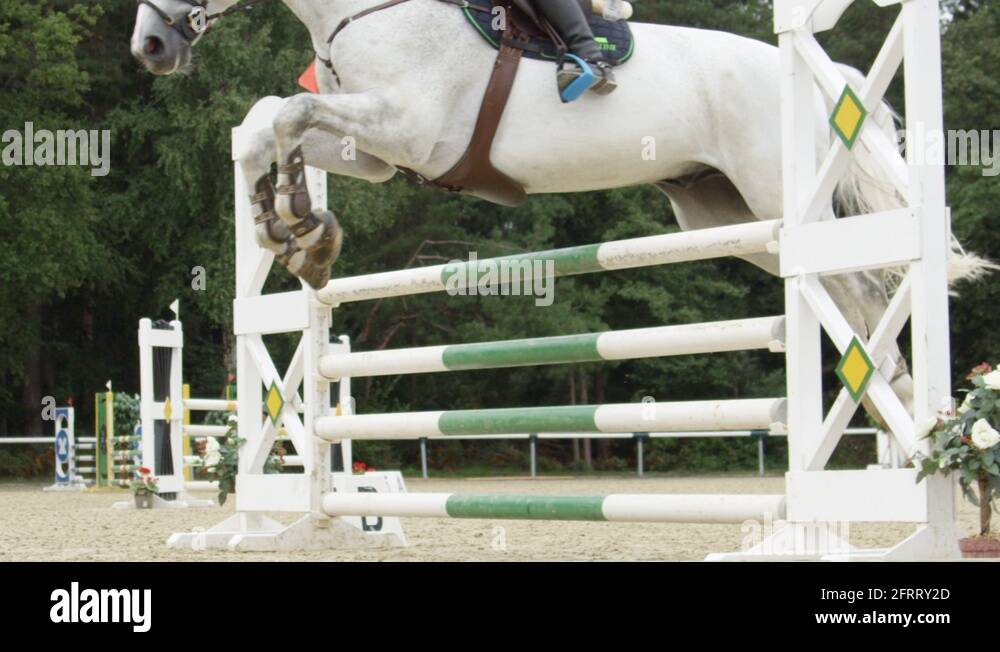 Horse and rider competing Stock Videos & Footage - HD and 4K Video ...