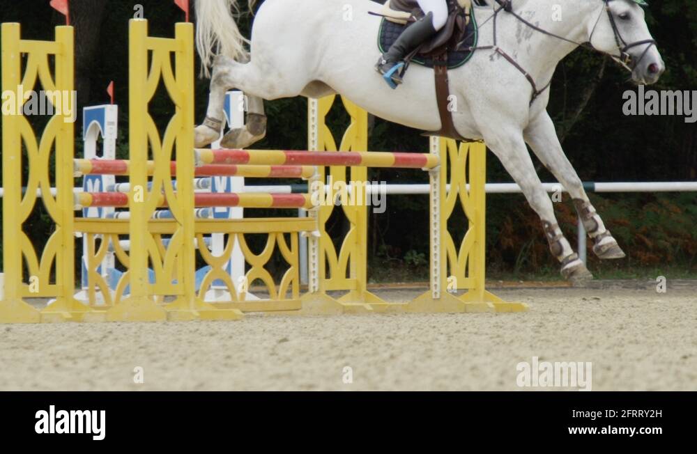 Show jumping fence Stock Videos & Footage - HD and 4K Video Clips - Alamy