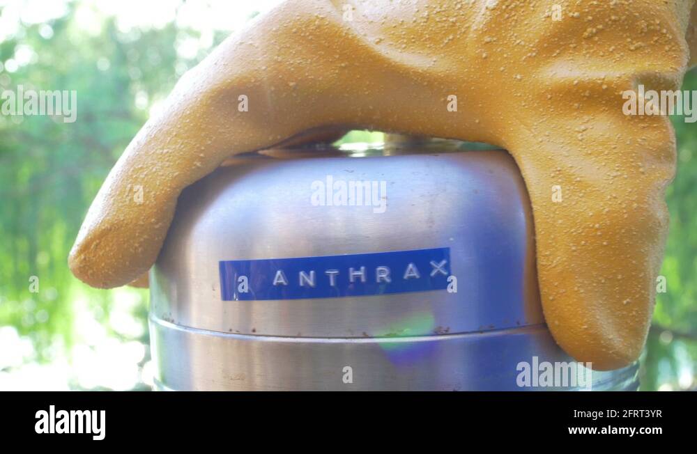 Bacillus anthracis Stock Videos & Footage - HD and 4K Video Clips - Alamy