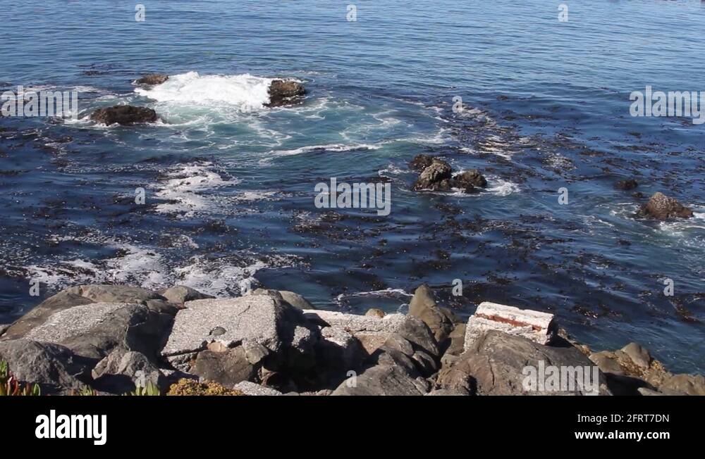 Beaches in NewFoundLand Canada Stock Video Footage - Alamy