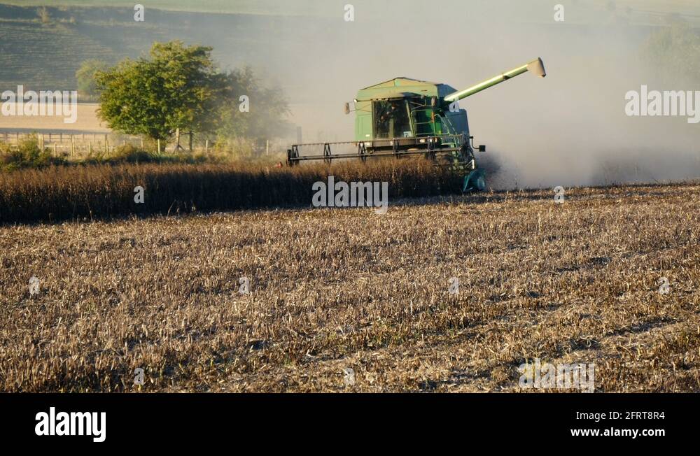 Combine harvester in field Stock Videos & Footage - HD and 4K Video ...