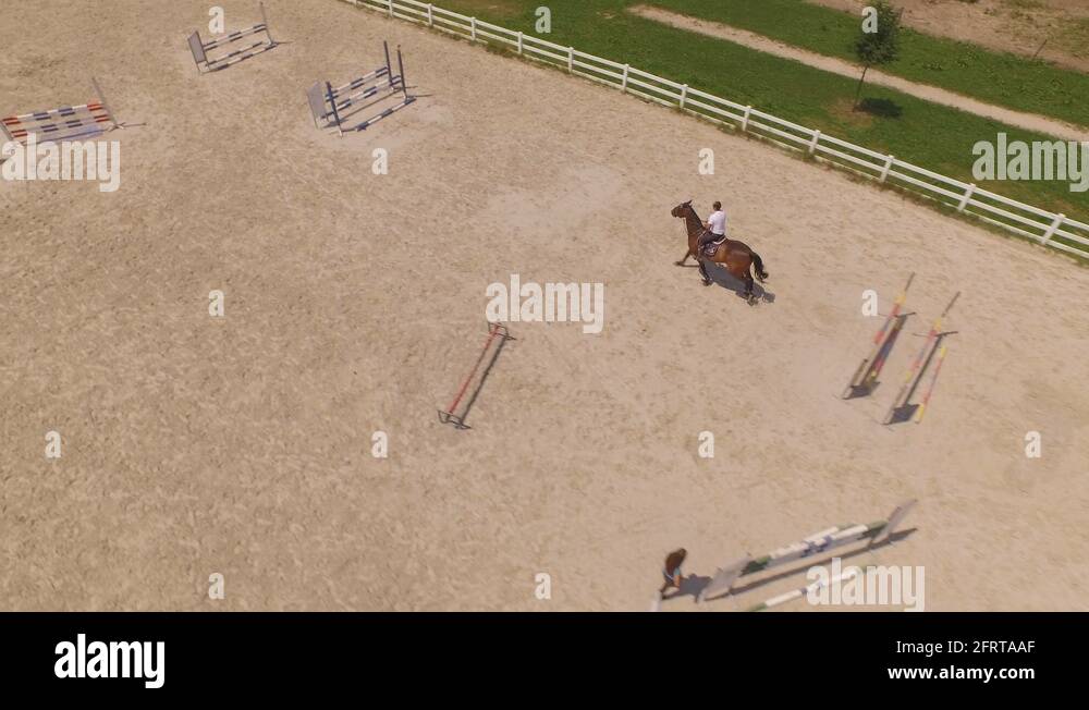 Horse rider competing in dressage Stock Videos & Footage - HD and 4K ...