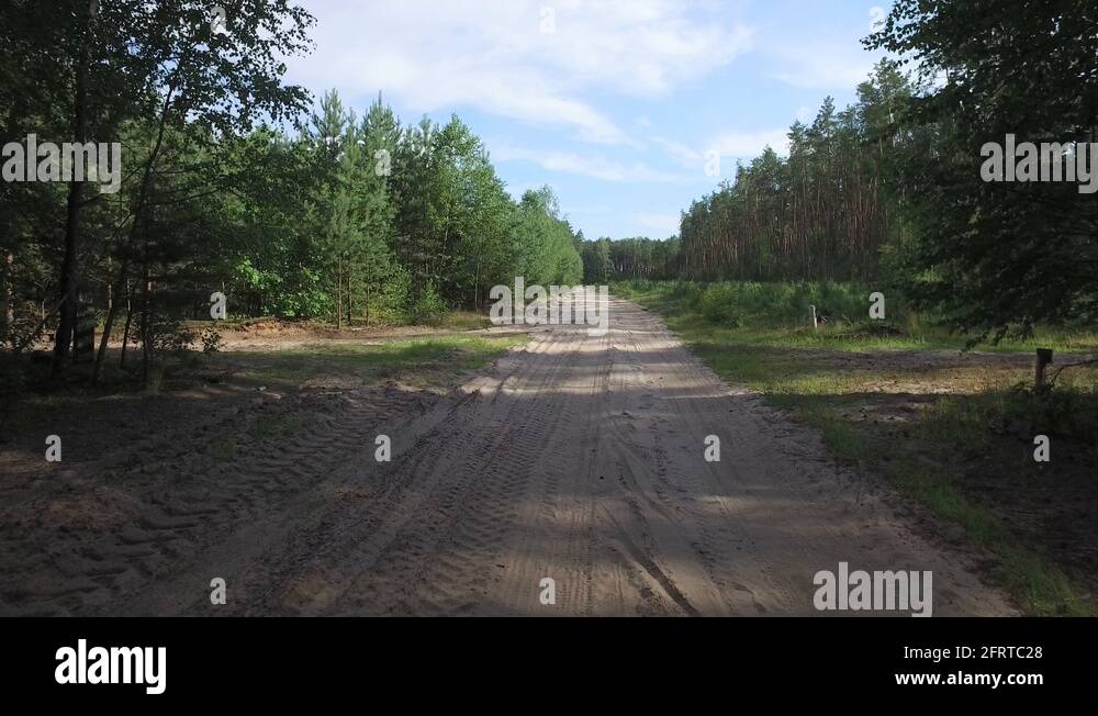 Crossroad dirt road forest track Stock Videos & Footage - HD and 4K ...