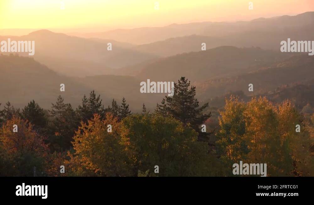 Sunrise valley with beautiful sun light and scenic trees Stock Videos ...