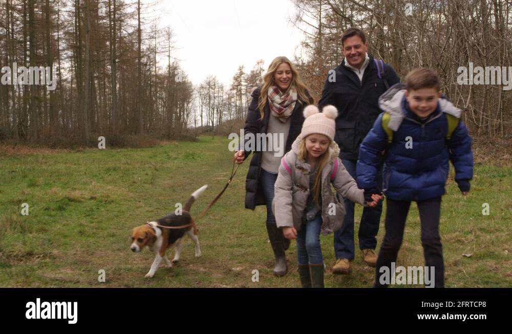 Children kids walking the dog in the woods Stock Videos & Footage - HD ...