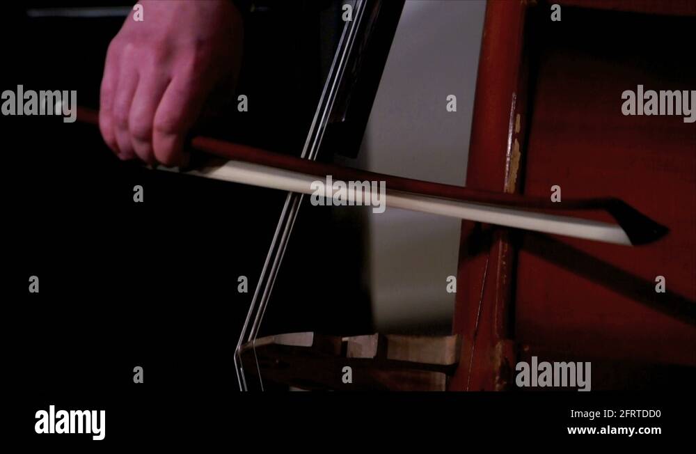 Fiddlestick Stock Videos & Footage - HD and 4K Video Clips - Alamy