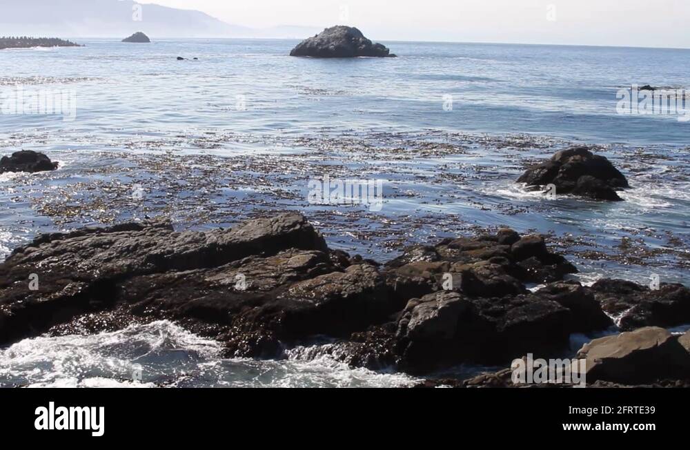 Beaches in NewFoundLand Canada Stock Video Footage - Alamy