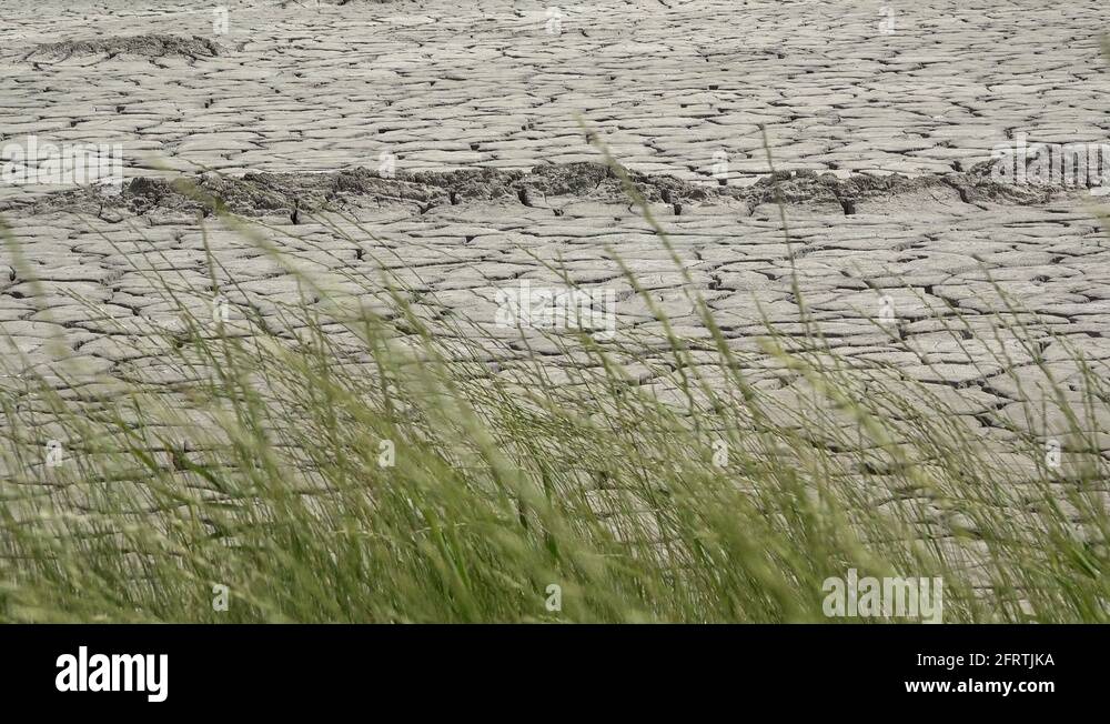 Arid soil Stock Videos & Footage - HD and 4K Video Clips - Alamy